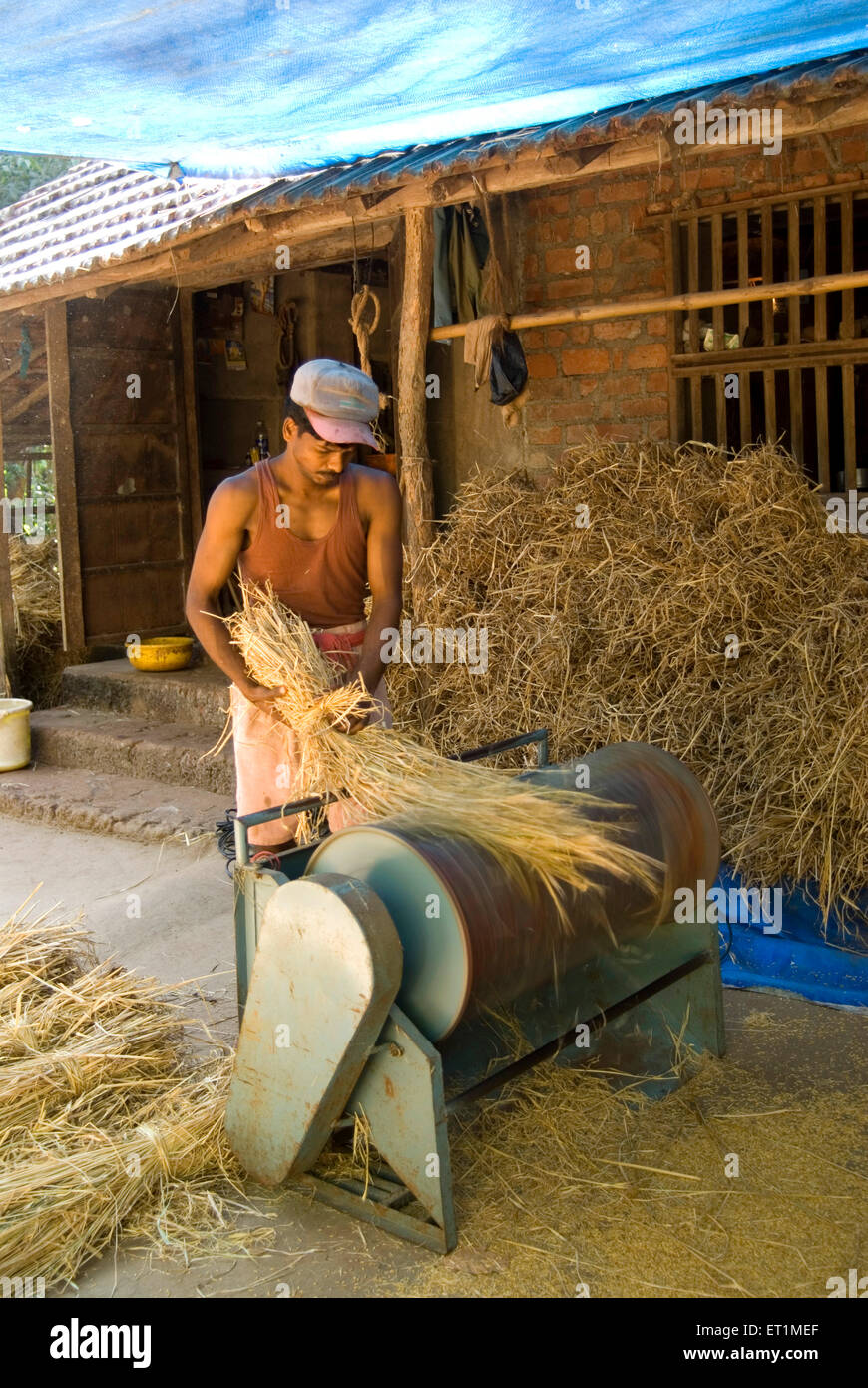Rice thresher hi-res stock photography and images - Alamy