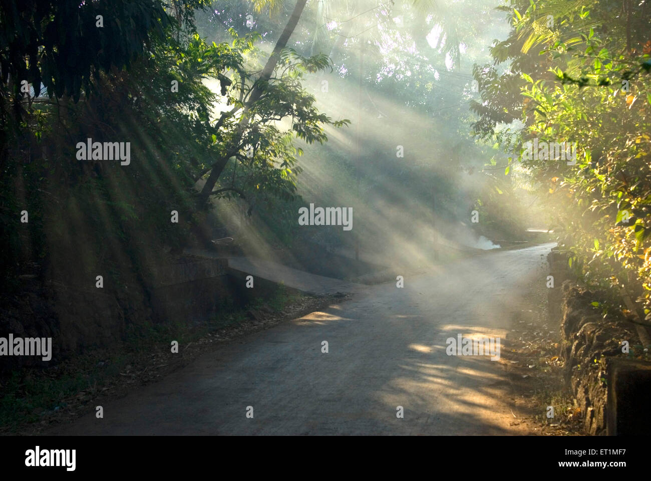 Anjarle High Resolution Stock Photography and Images - Alamy