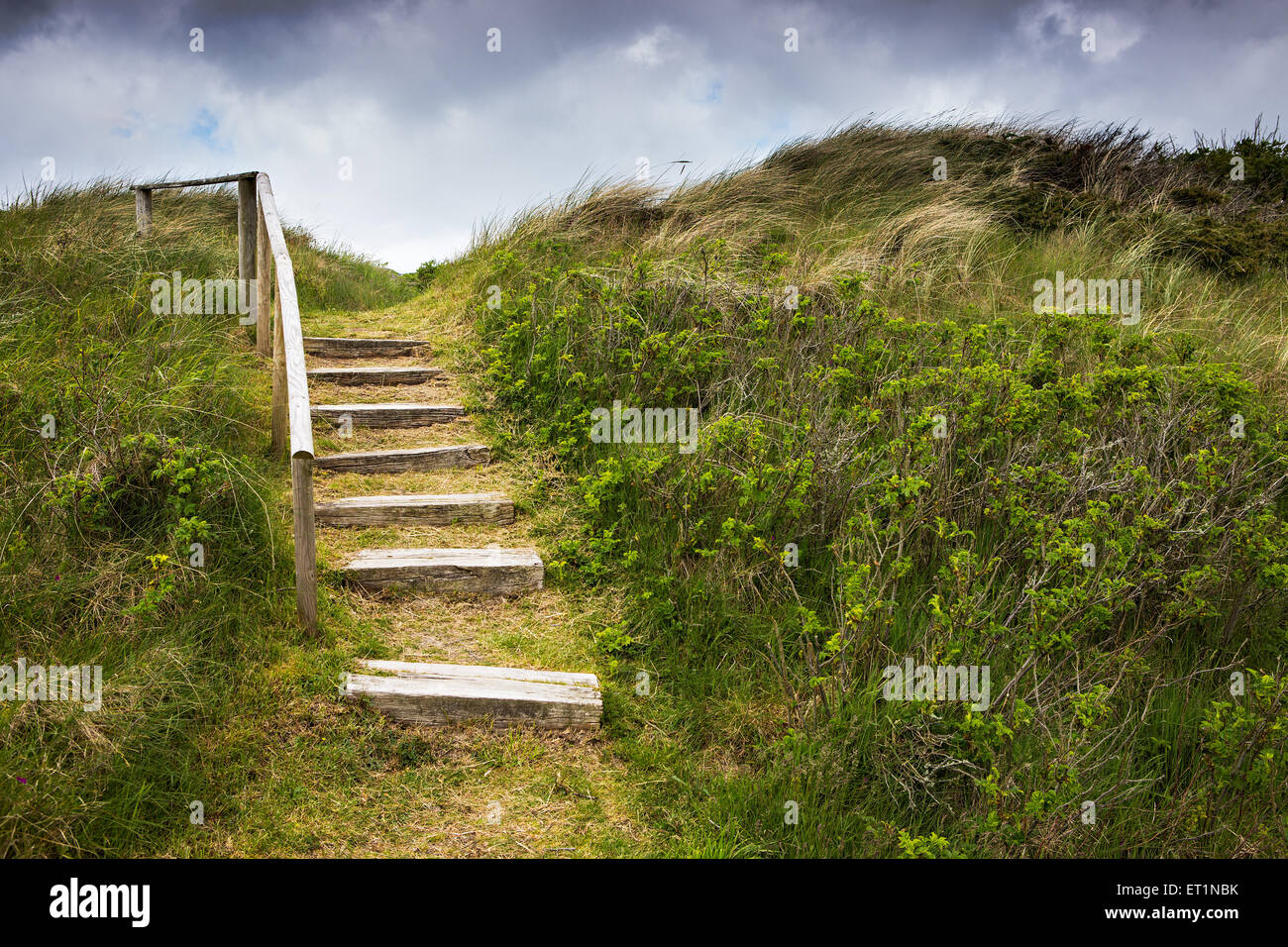 Beach path hi-res stock photography and images - Alamy