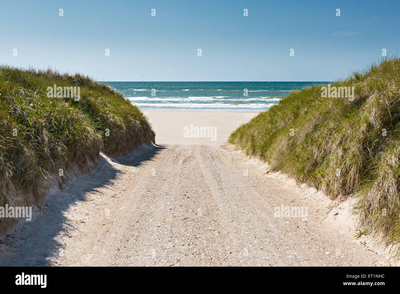 Path to the beach in summer Stock Photo - Alamy