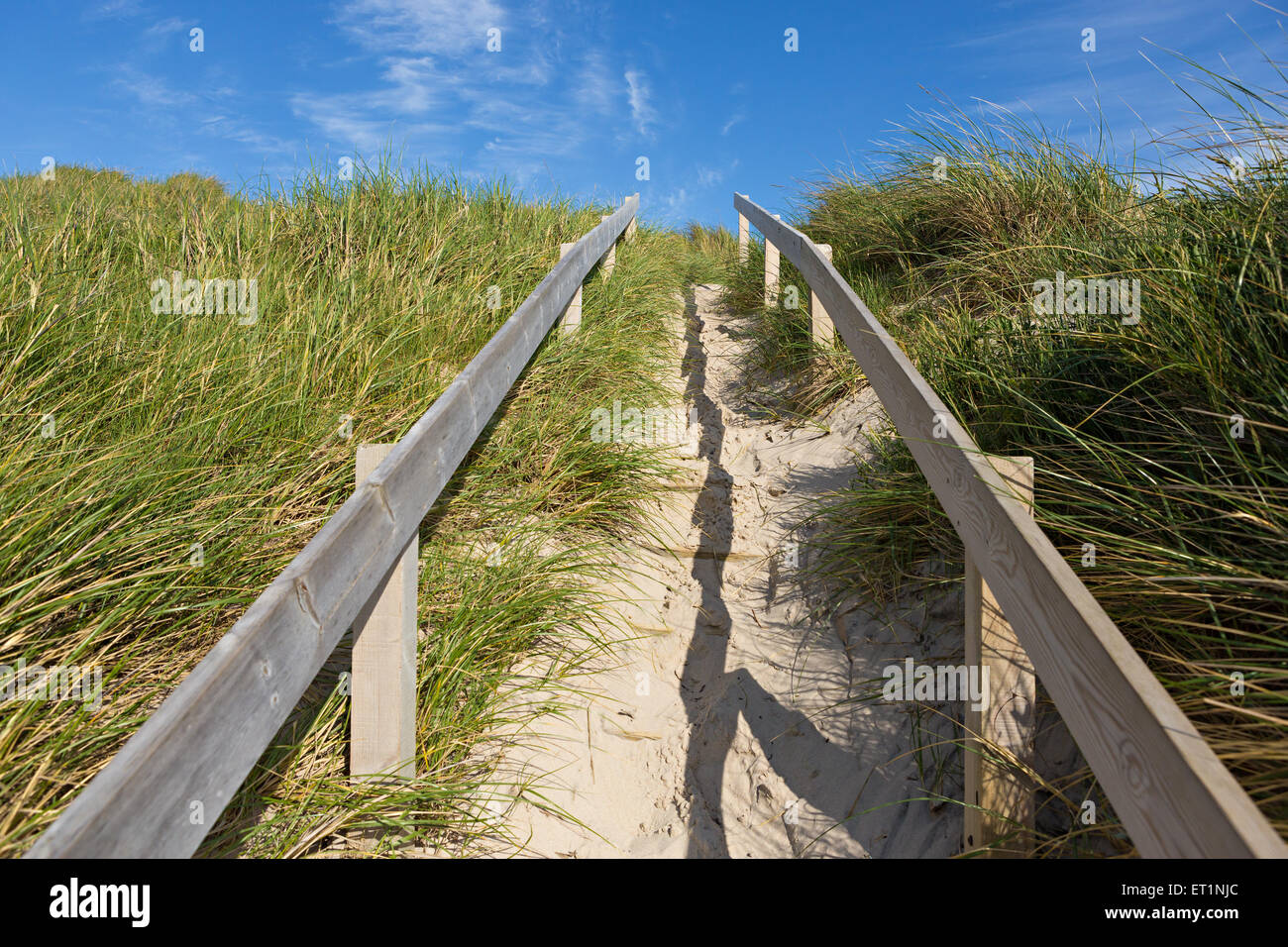 White wood path sky hi-res stock photography and images - Alamy