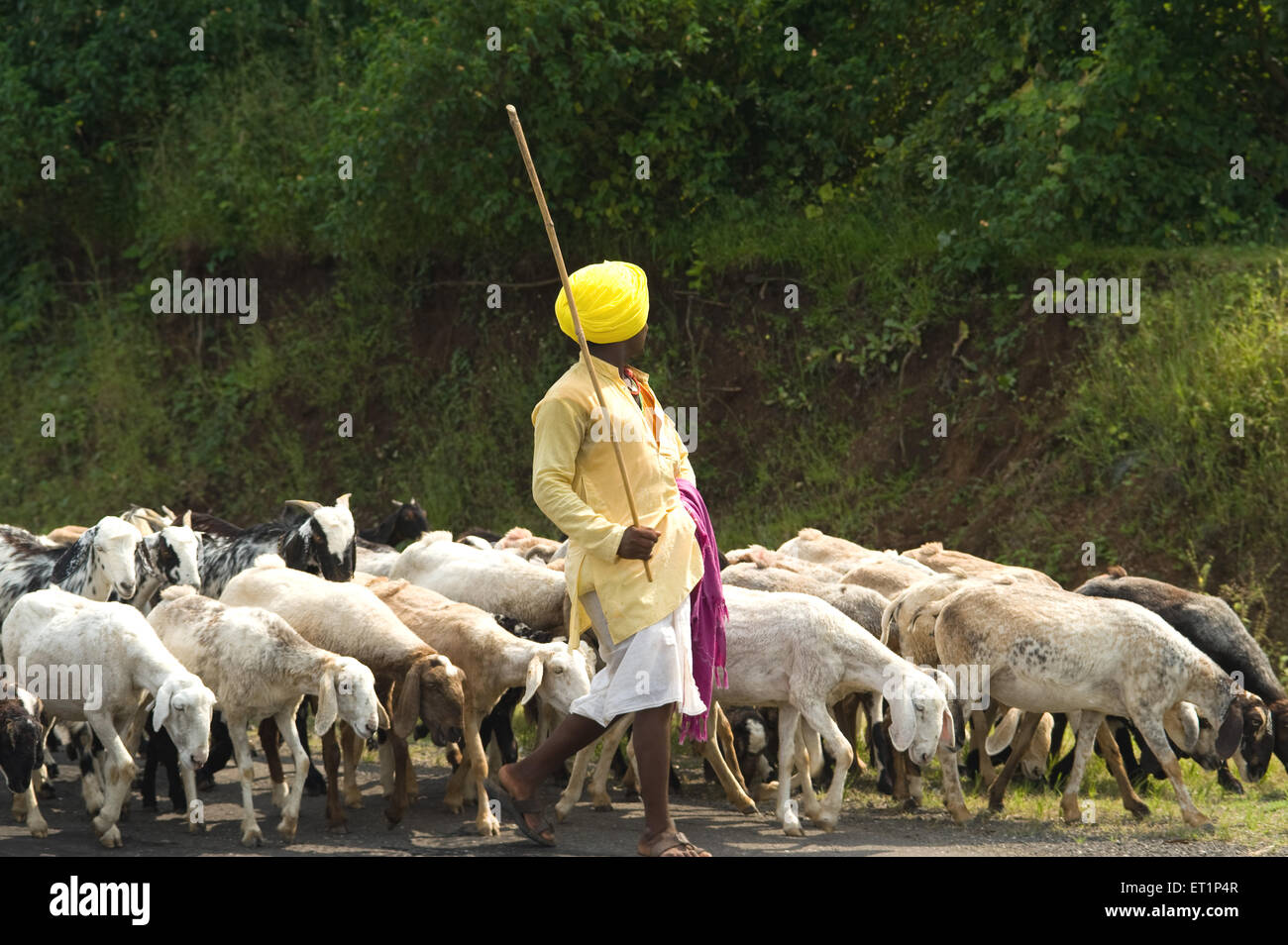 Dpa 168115 stp hi-res stock photography and images - Alamy