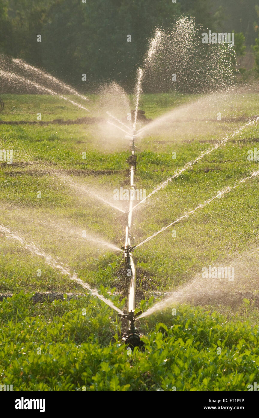 sprinklers, irrigation sprinklers, water sprinklers Stock Photo - Alamy