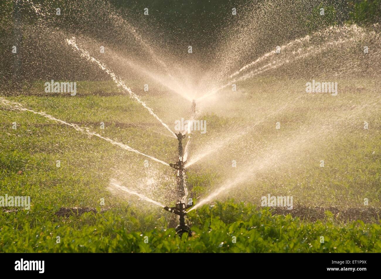 sprinklers, irrigation sprinklers, water sprinklers Stock Photo - Alamy