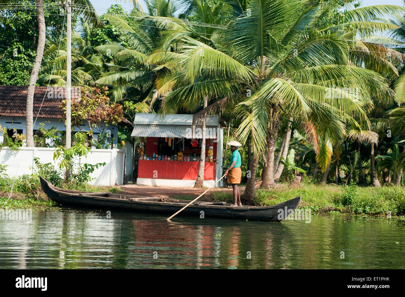 Palm trees in backwaters ; Alleppey ; Alappuzha ; Kerala ; India ; Asia Stock Photo - Alamy