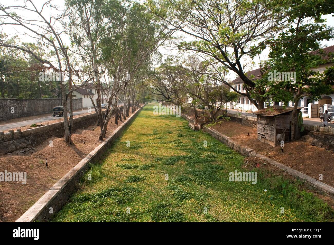 backwater canal ; Alleppey ; Alappuzha ; Kerala ; India ; Asia Stock ...
