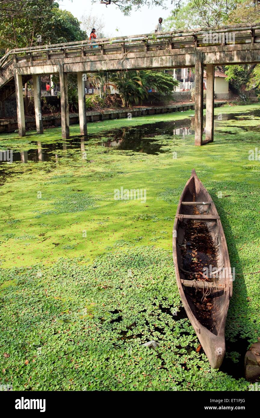 Wooden canoe in backwaters and bridge over canal ; Alleppey ; Alappuzha ...