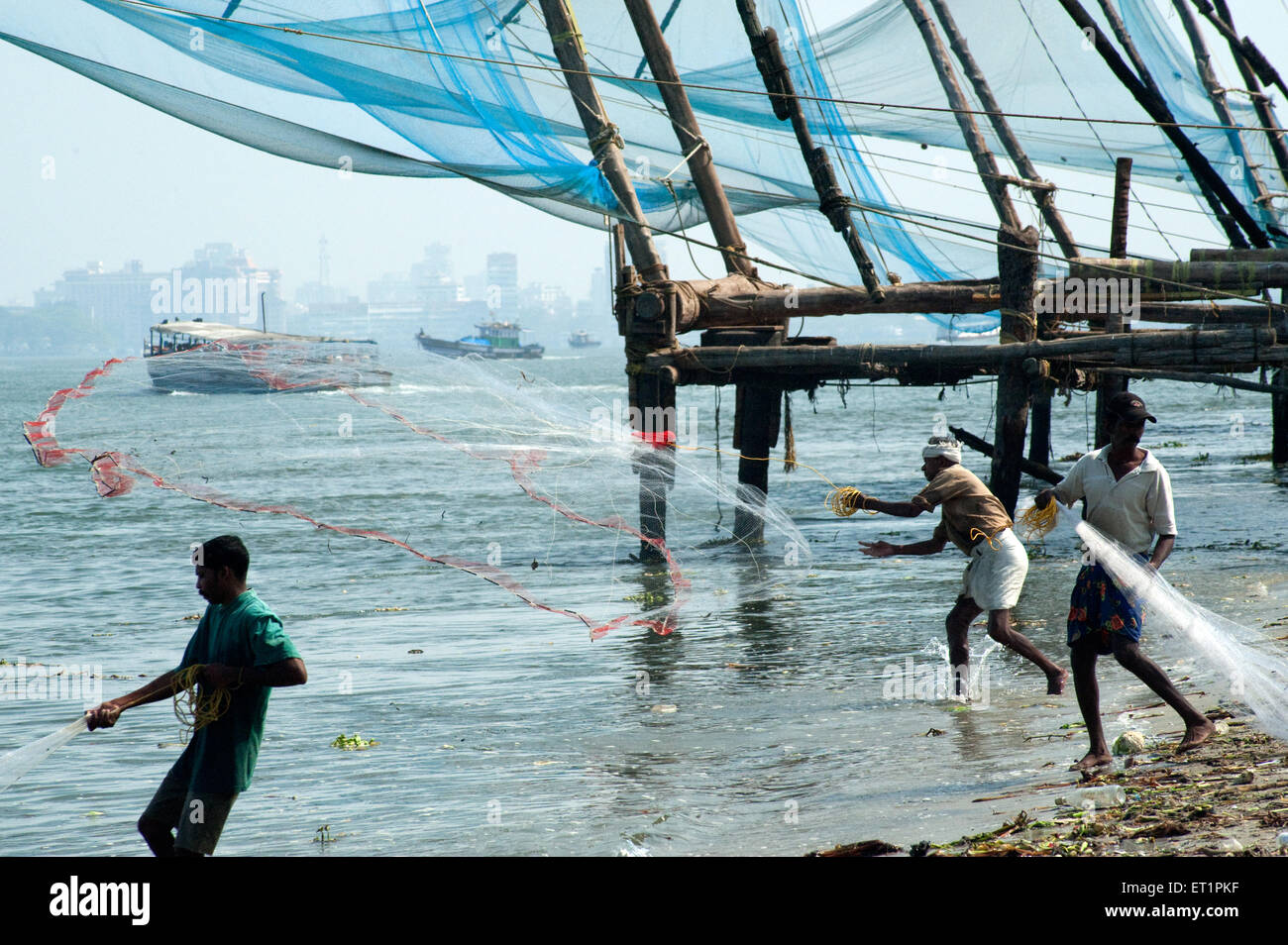 Fisherman casting fishing net ; Cochin ; Kochi ; Kerala ; India ; Asia ...