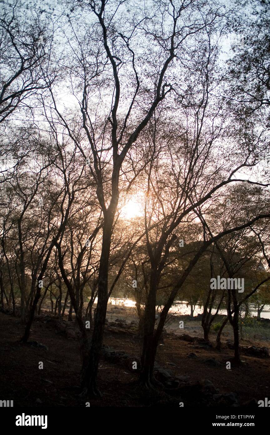 Indian silhouette hi-res stock photography and images - Alamy