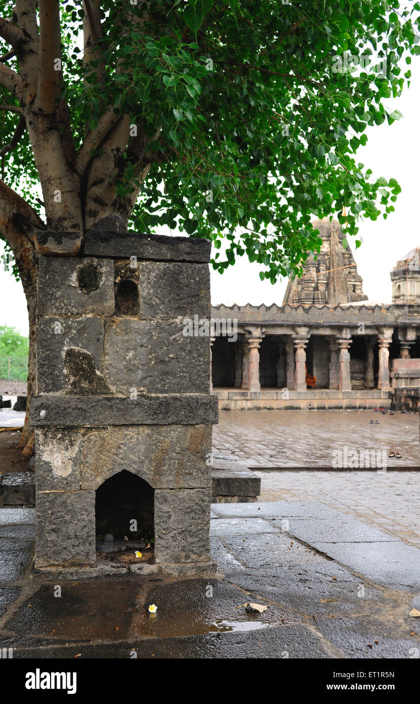 Tulsi vrindavan hi-res stock photography and images - Alamy