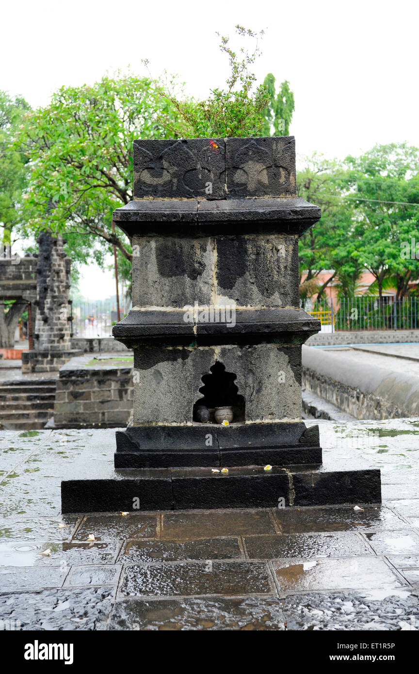 Tulsi vrindavan hi-res stock photography and images - Alamy