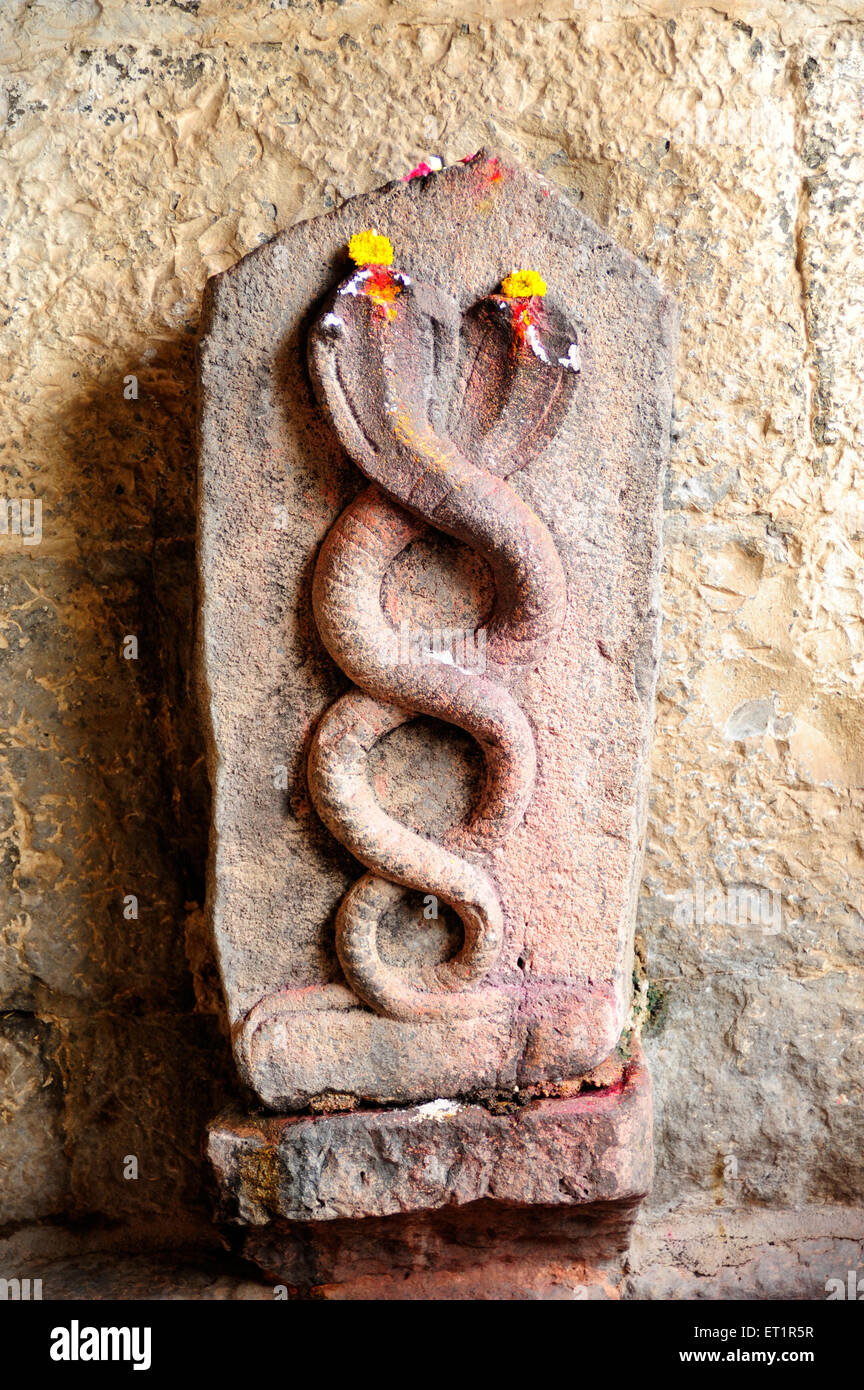 Temple snake hi-res stock photography and images - Alamy
