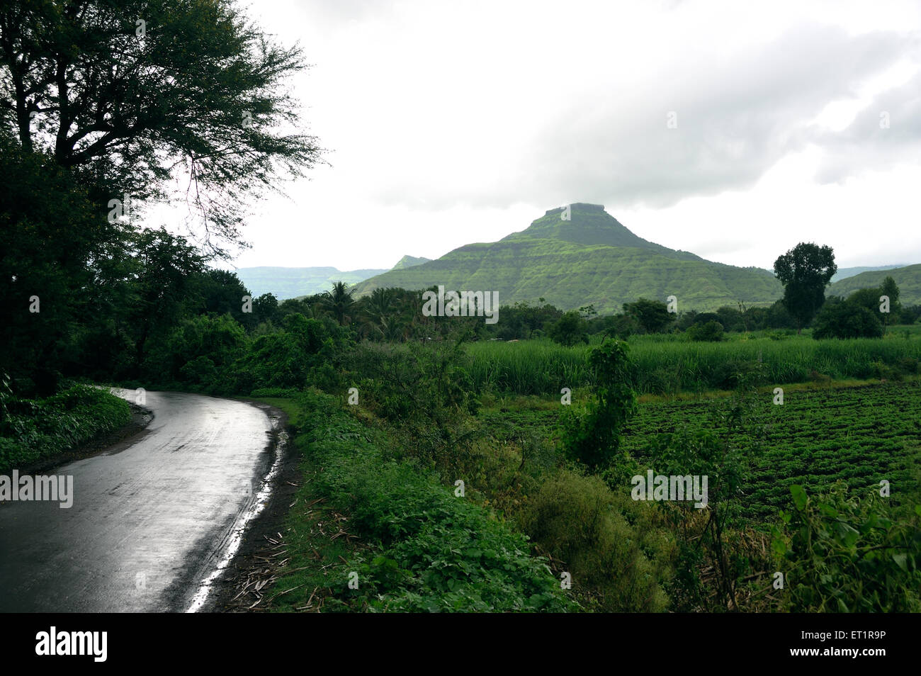 Pandavgad fort mountain green fields wai satara Maharashtra India Asia ...