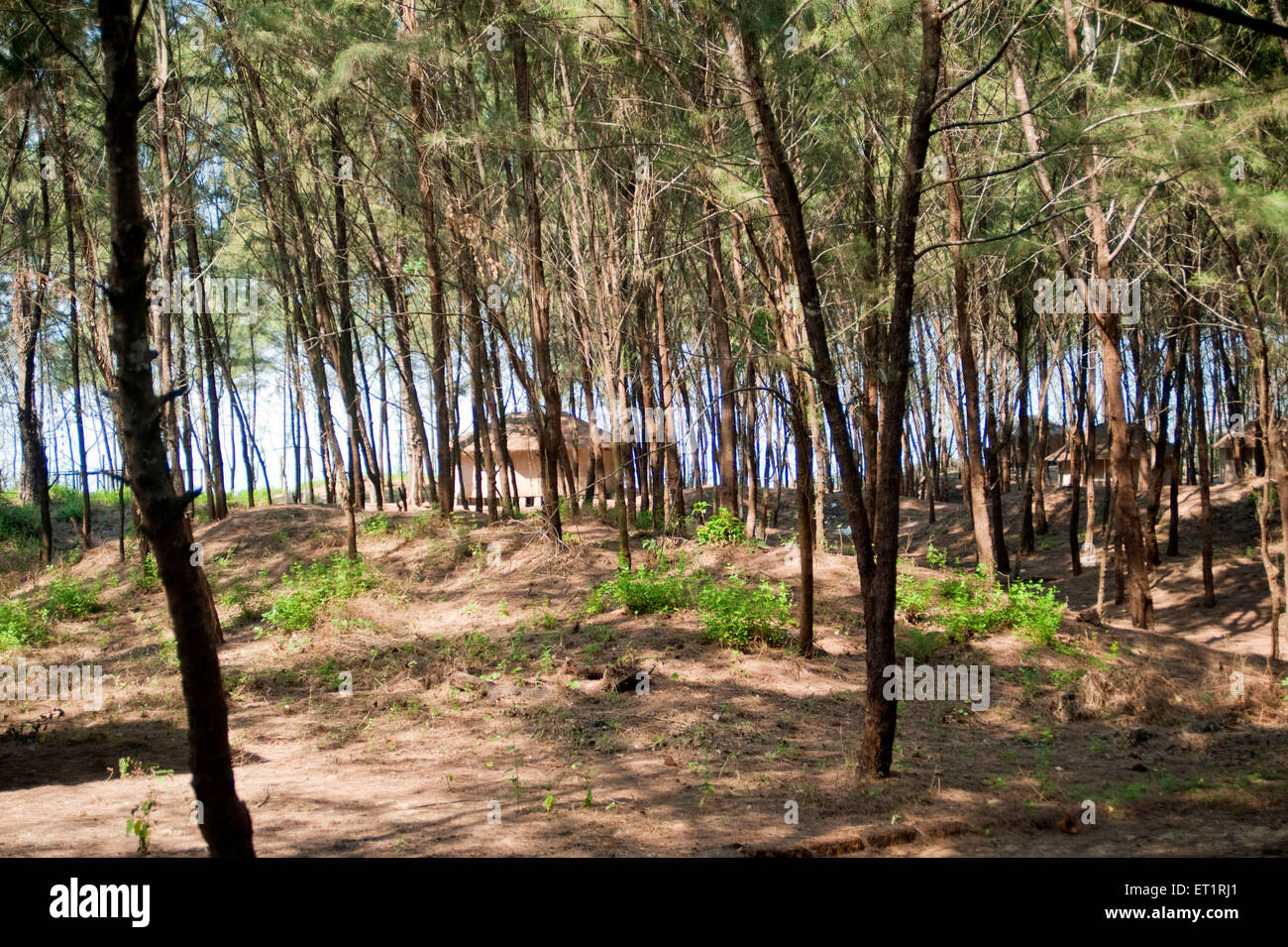 Mtdc resort at sagareshwar ubhadanda near vengurla sindhudurg ...