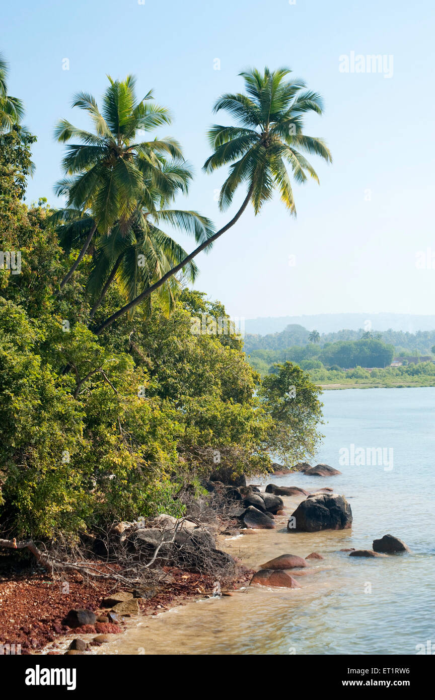 Vengurla beach at sindhudurg ; Maharashtra ; India Stock Photo - Alamy