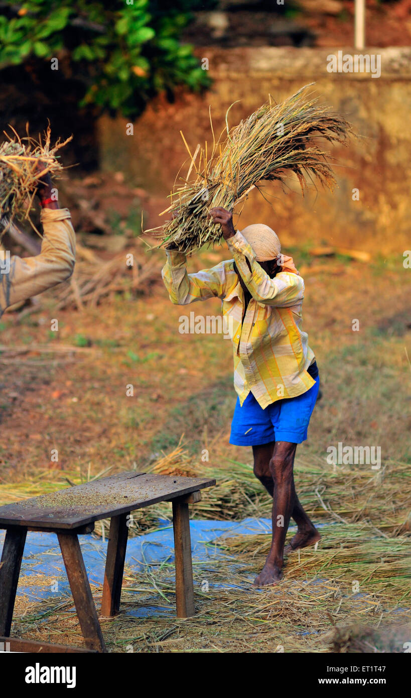 Threshing place hi-res stock photography and images - Alamy