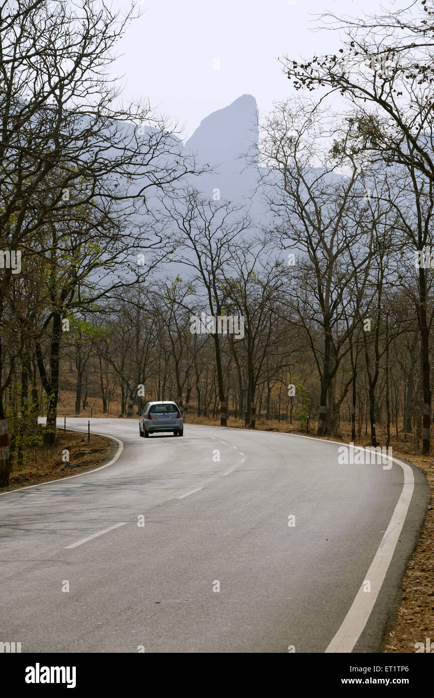 Road through forest , Malshej Ghat , Western Ghats , Sahyadri Range ...
