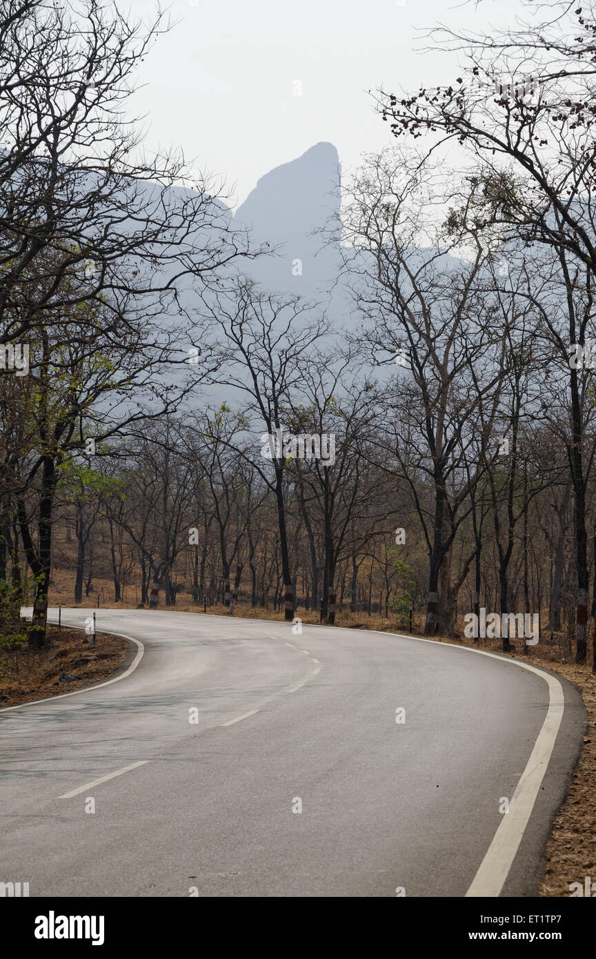 Indian forest roads hi-res stock photography and images - Alamy