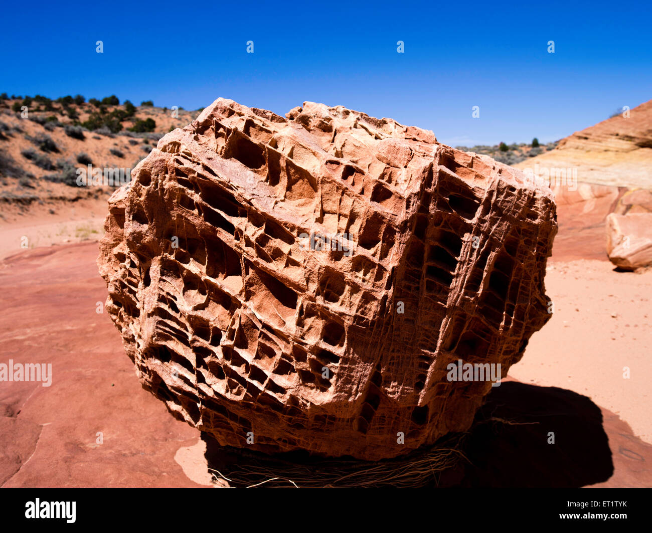 Stone Lattice Geology High Resolution Stock Photography and Images - Alamy