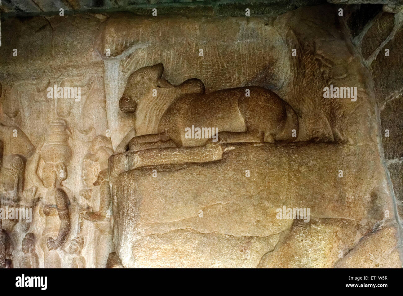 Carving at Krishna Mandapam in Mahabalipuram at Tamilnadu India Asia ...