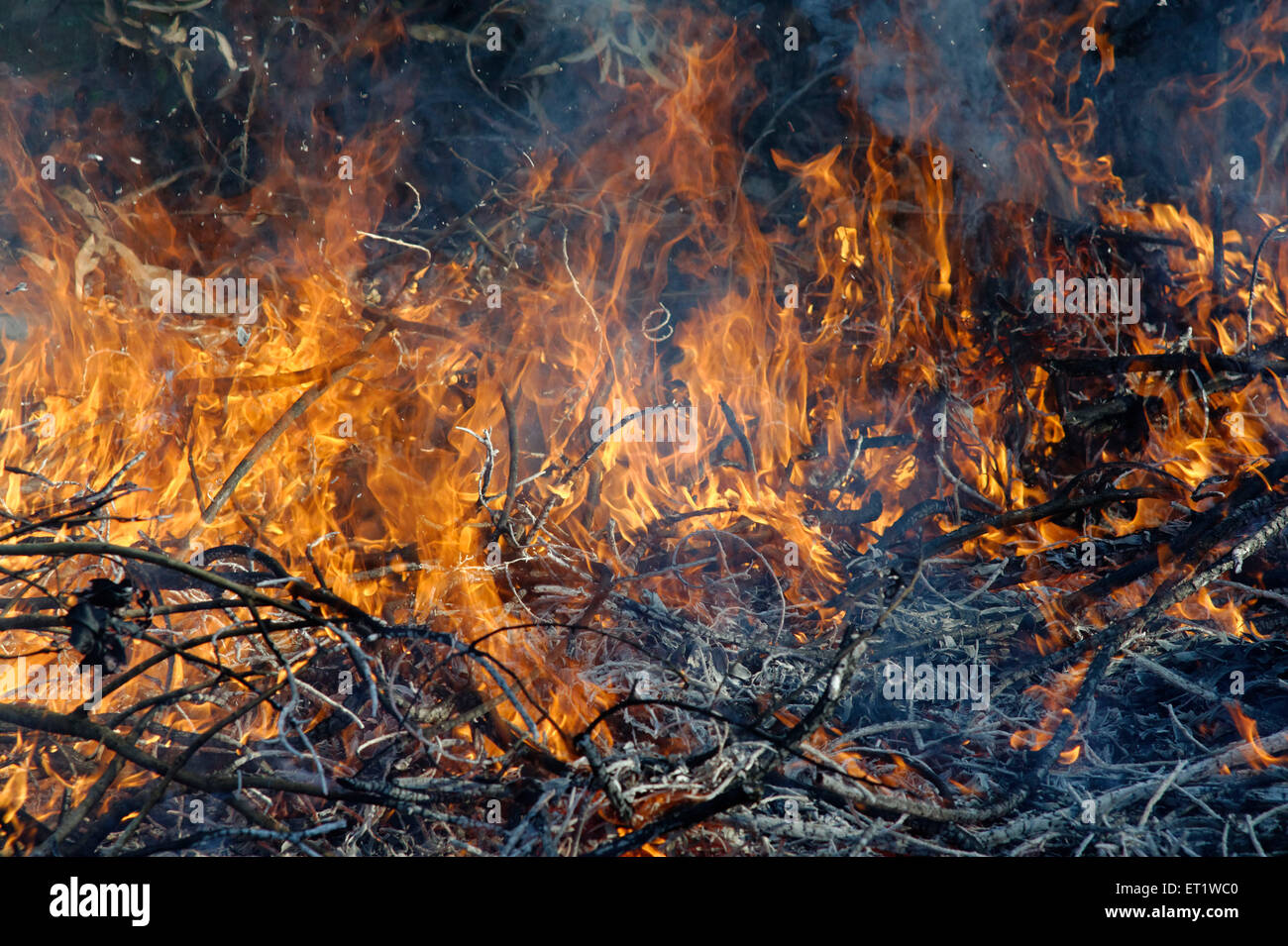 Crop burn smoke india hi-res stock photography and images - Alamy