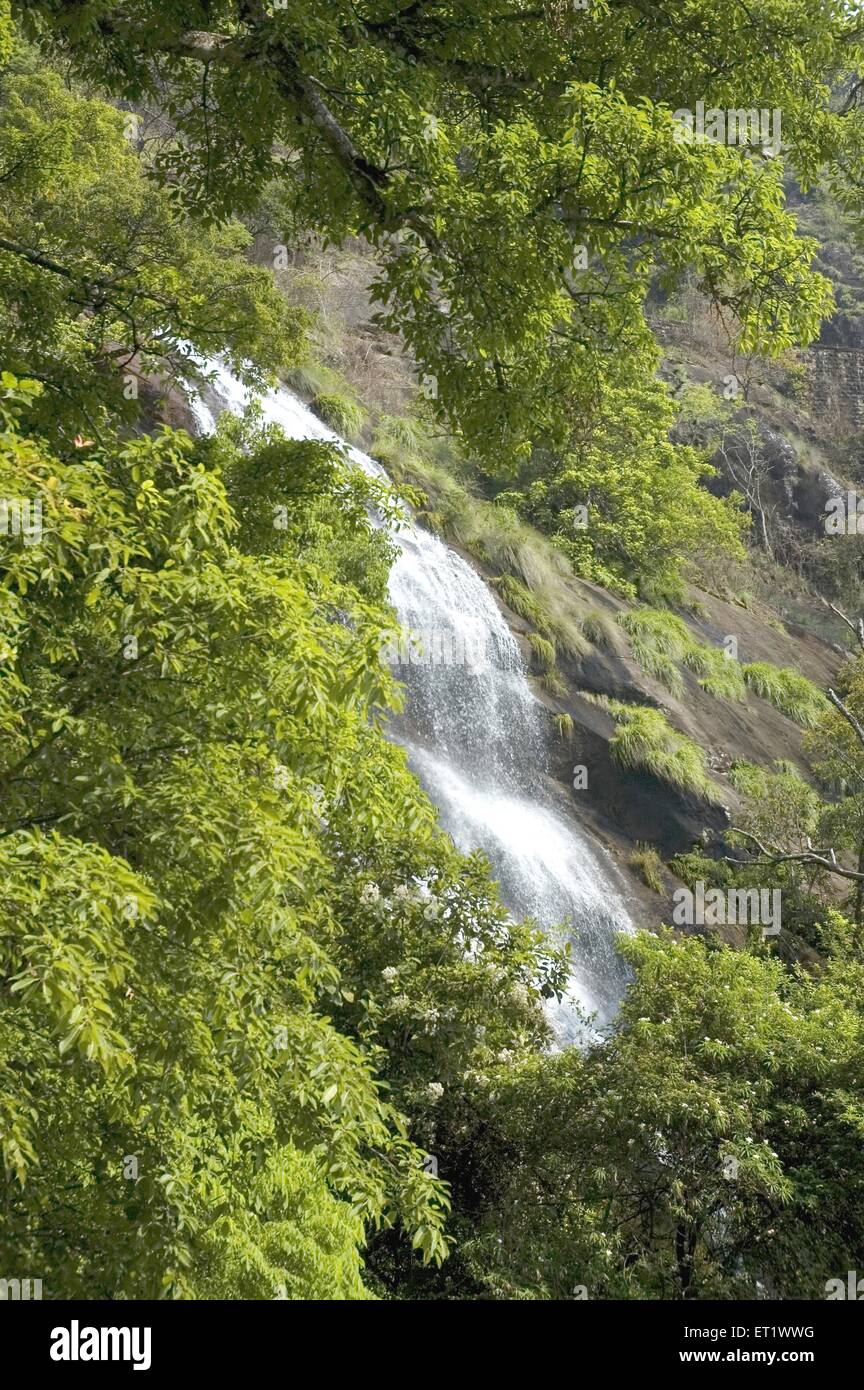 Falls at Nilgiris ; Nilgiri Mountains ; Western Ghats ; Kerala ; India ...