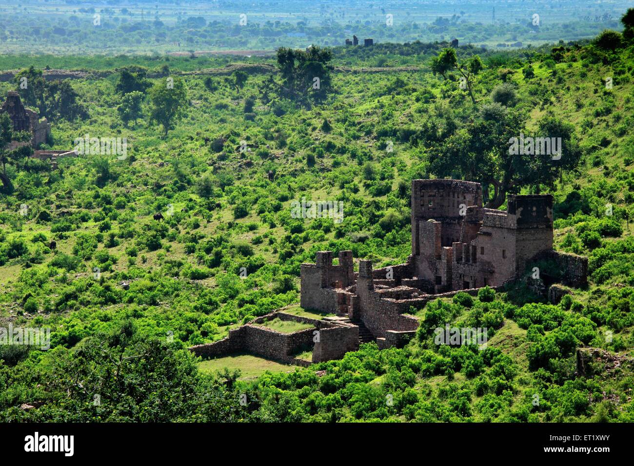 174997 hi-res stock photography and images - Alamy