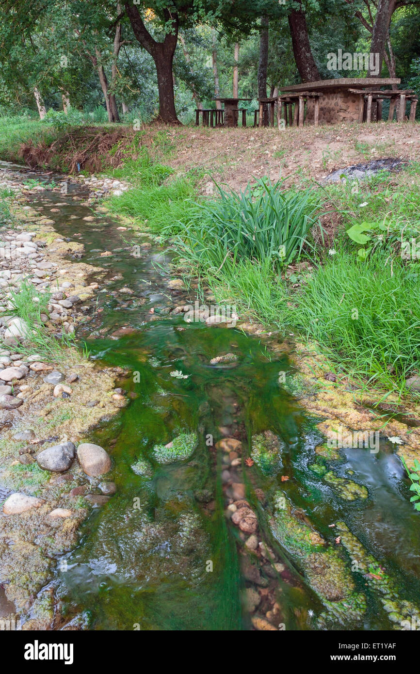 Brook stream creek hi-res stock photography and images - Alamy