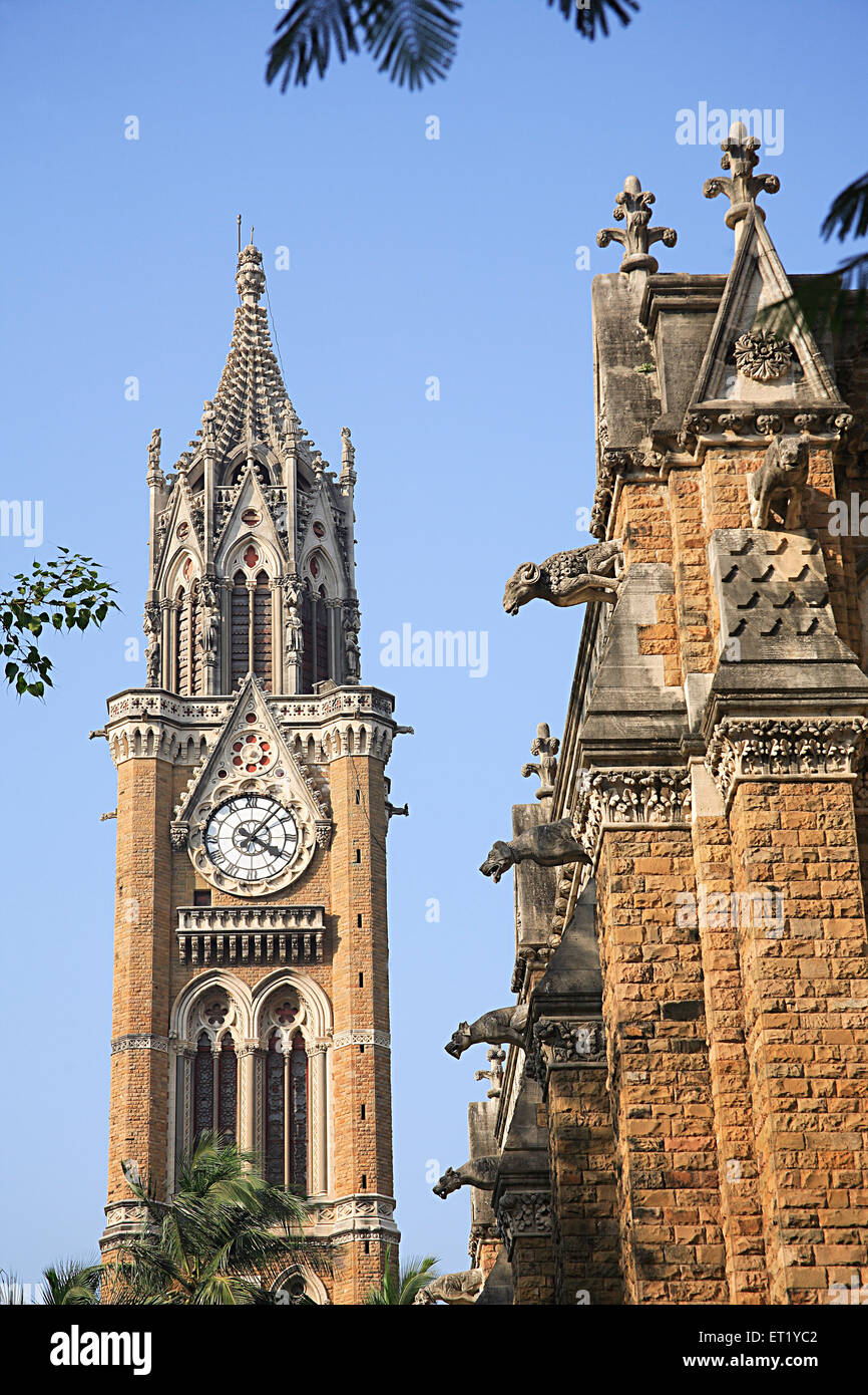 Rajabai Clock Tower ; Churchgate ; Bombay ; Mumbai ; Maharashtra ...