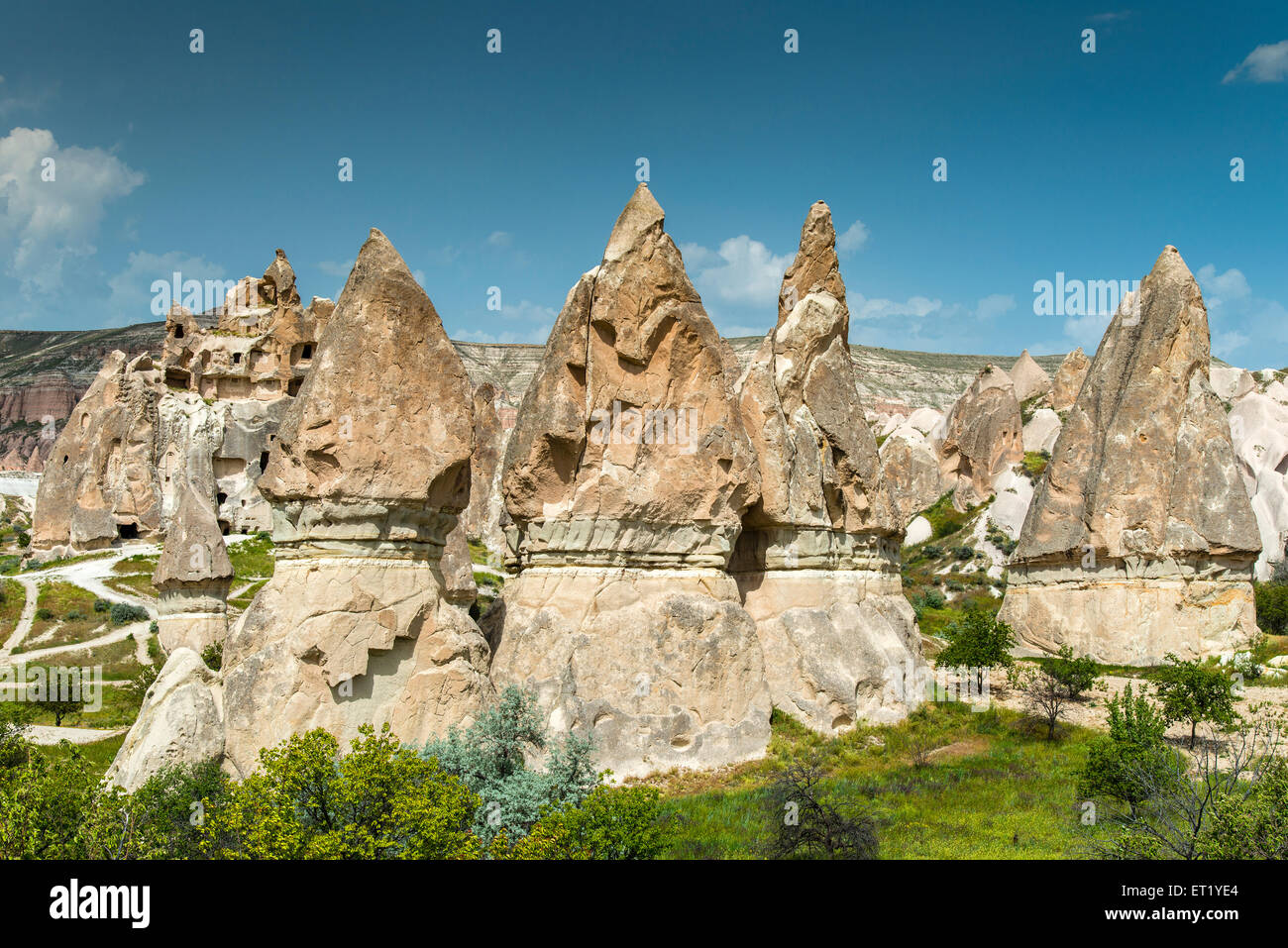 Fairy Chimneys rock formation near Goreme, Cappadocia, Turkey Stock ...