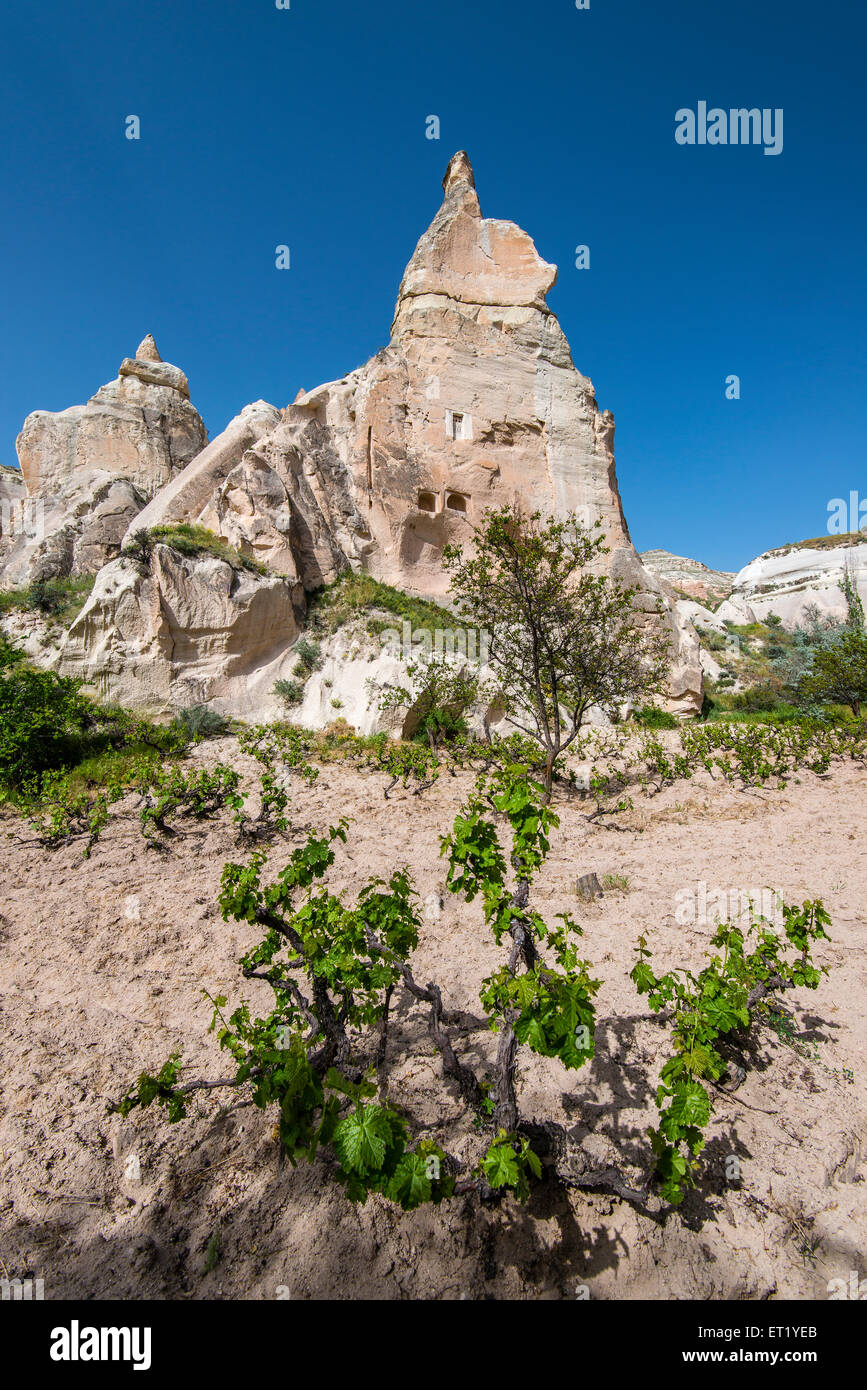 Typical fairy chimneys in Cappadocia, Turkey Stock Photo - Alamy