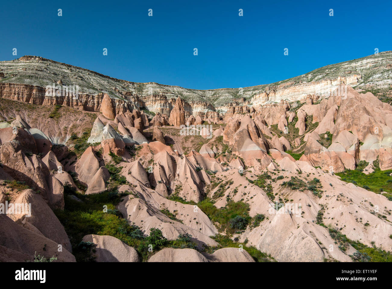Typical fairy chimneys landscape in Rose Valley, Cappadocia, Turkey ...