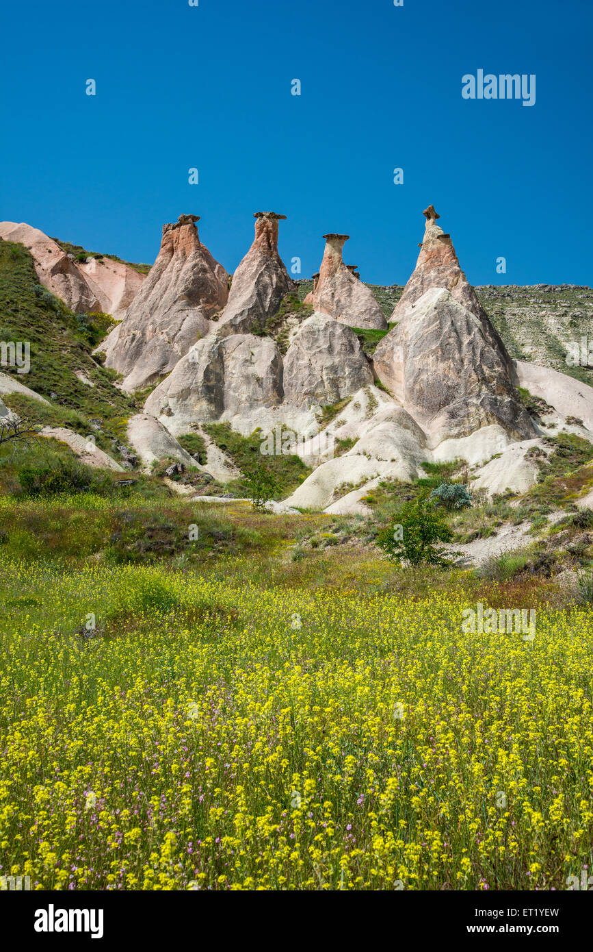 Typical fairy chimneys landscape in springtime, Pasabagi, Cappadocia ...