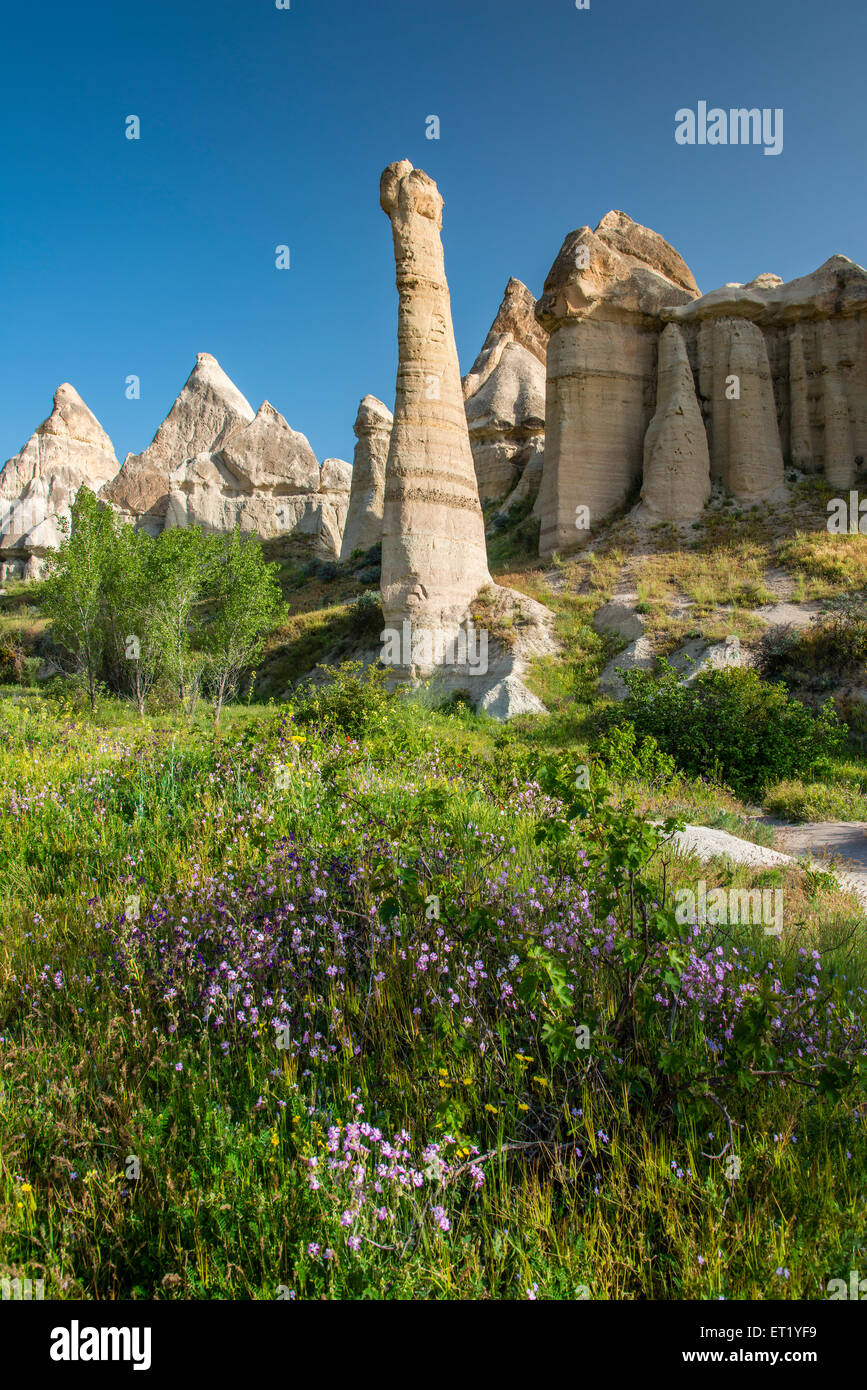 Scenic fairy chimneys landscape in springtime, Goreme, Cappadocia ...