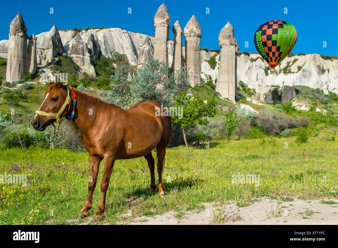Scenic fairy chimneys landscape in springtime, Goreme, Cappadocia ...