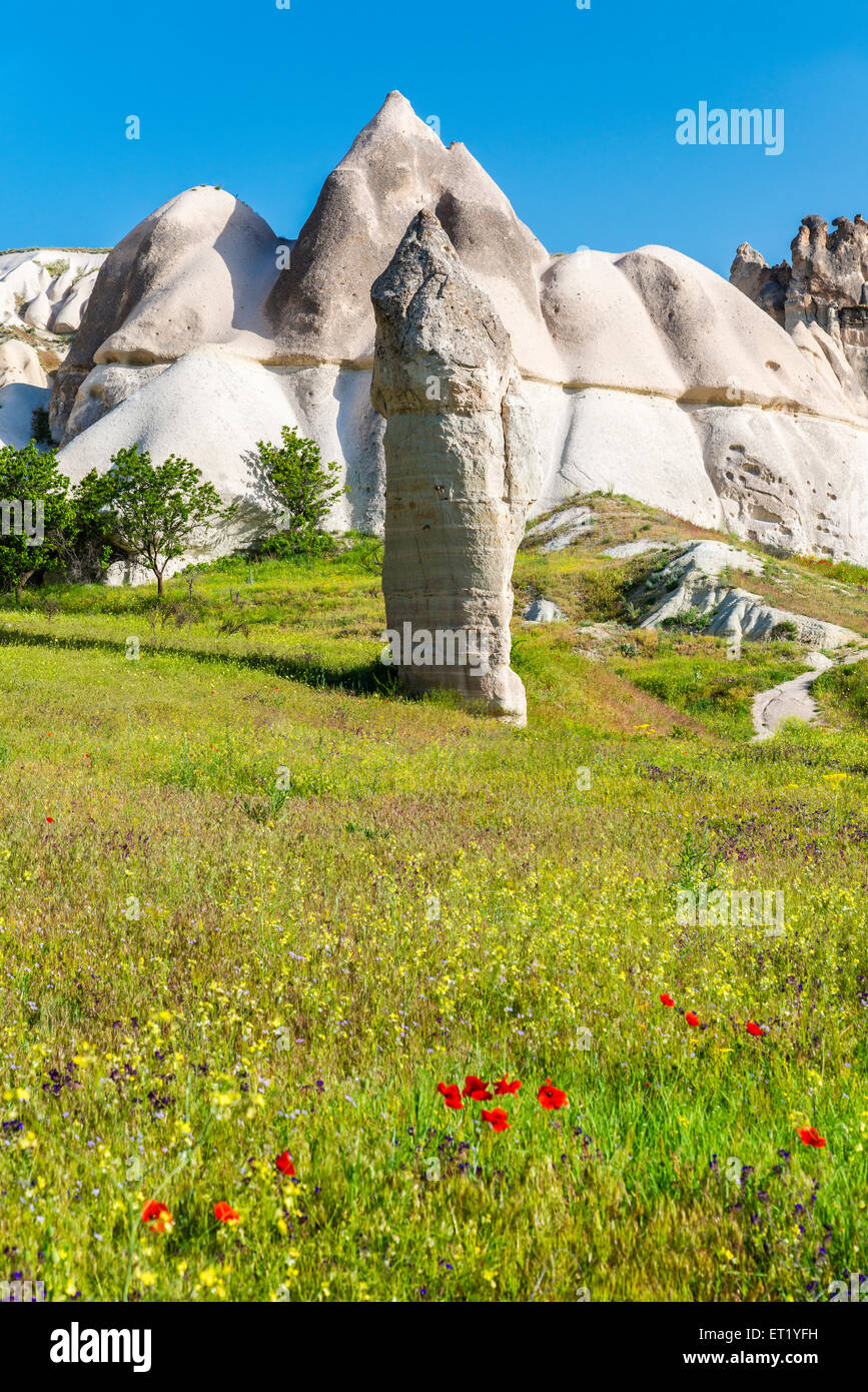 Scenic fairy chimneys landscape in springtime, Goreme, Cappadocia ...