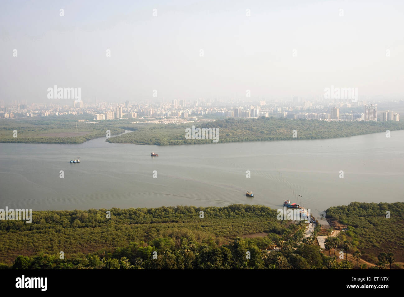Gorai creek and mangroves trees ; Borivali ; Bombay Mumbai ...