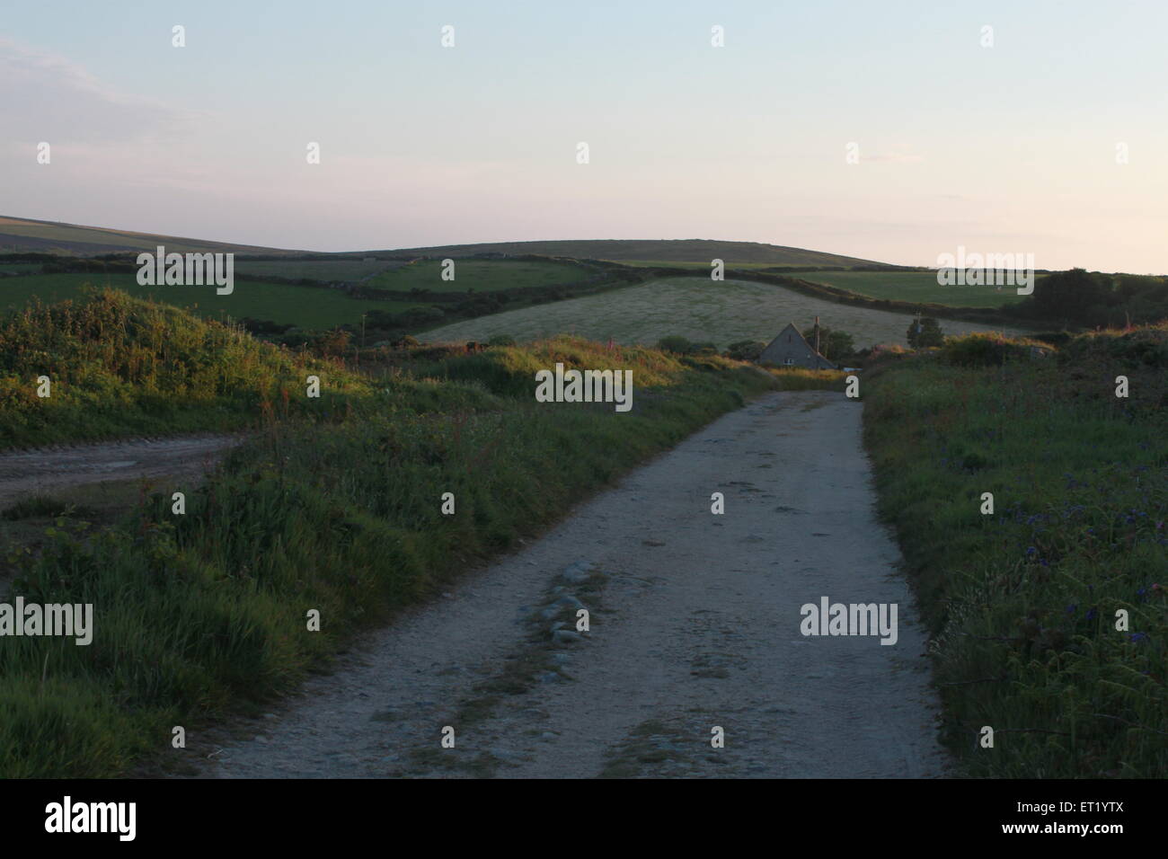 cornish hedges in penwith cornwall at sunset Stock Photo - Alamy