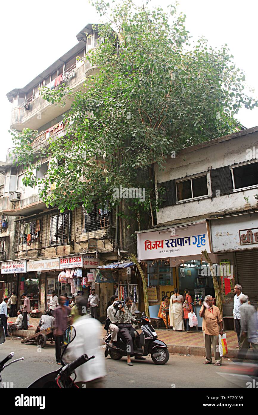 Automobile p hi-res stock photography and images - Alamy