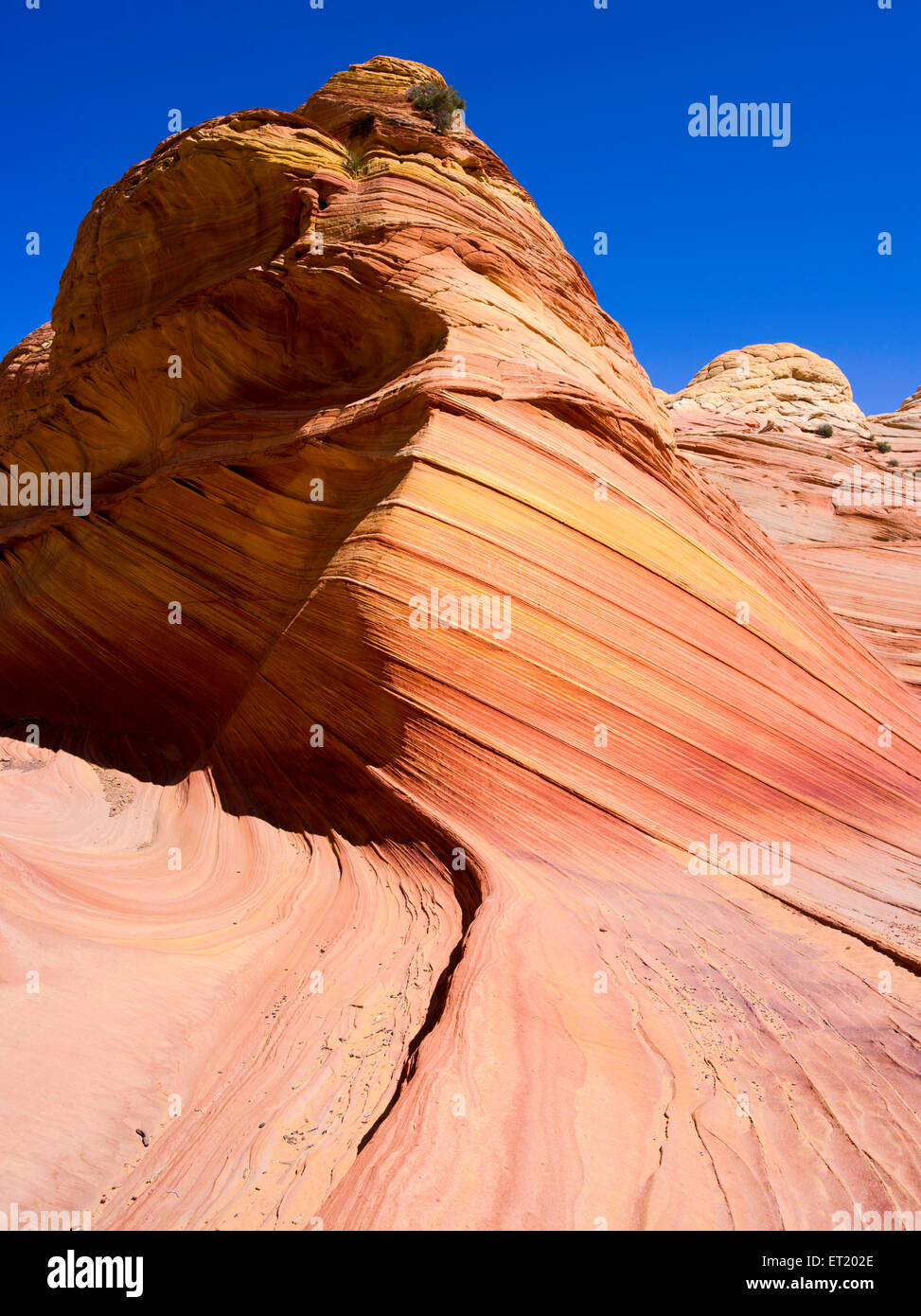 Scene from the North Coyote Buttes area known as "The Wave," Vermillion ...