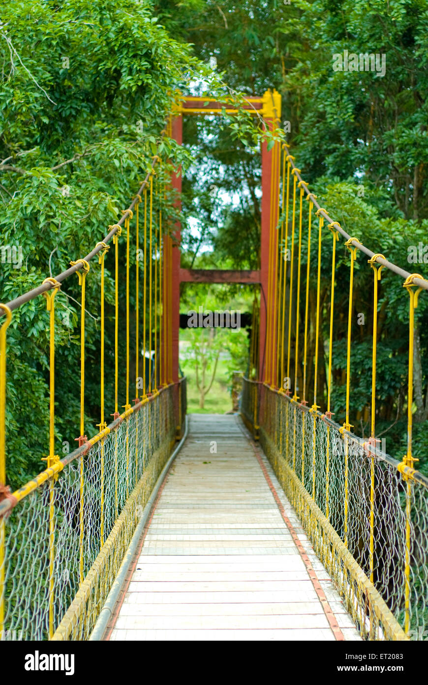 Nisargadhama forest hi-res stock photography and images - Alamy