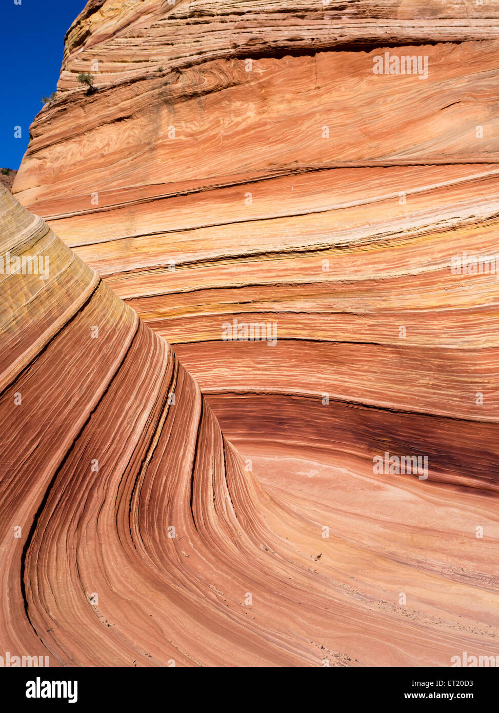 Scene from the North Coyote Buttes area known as "The Wave," Vermillion ...