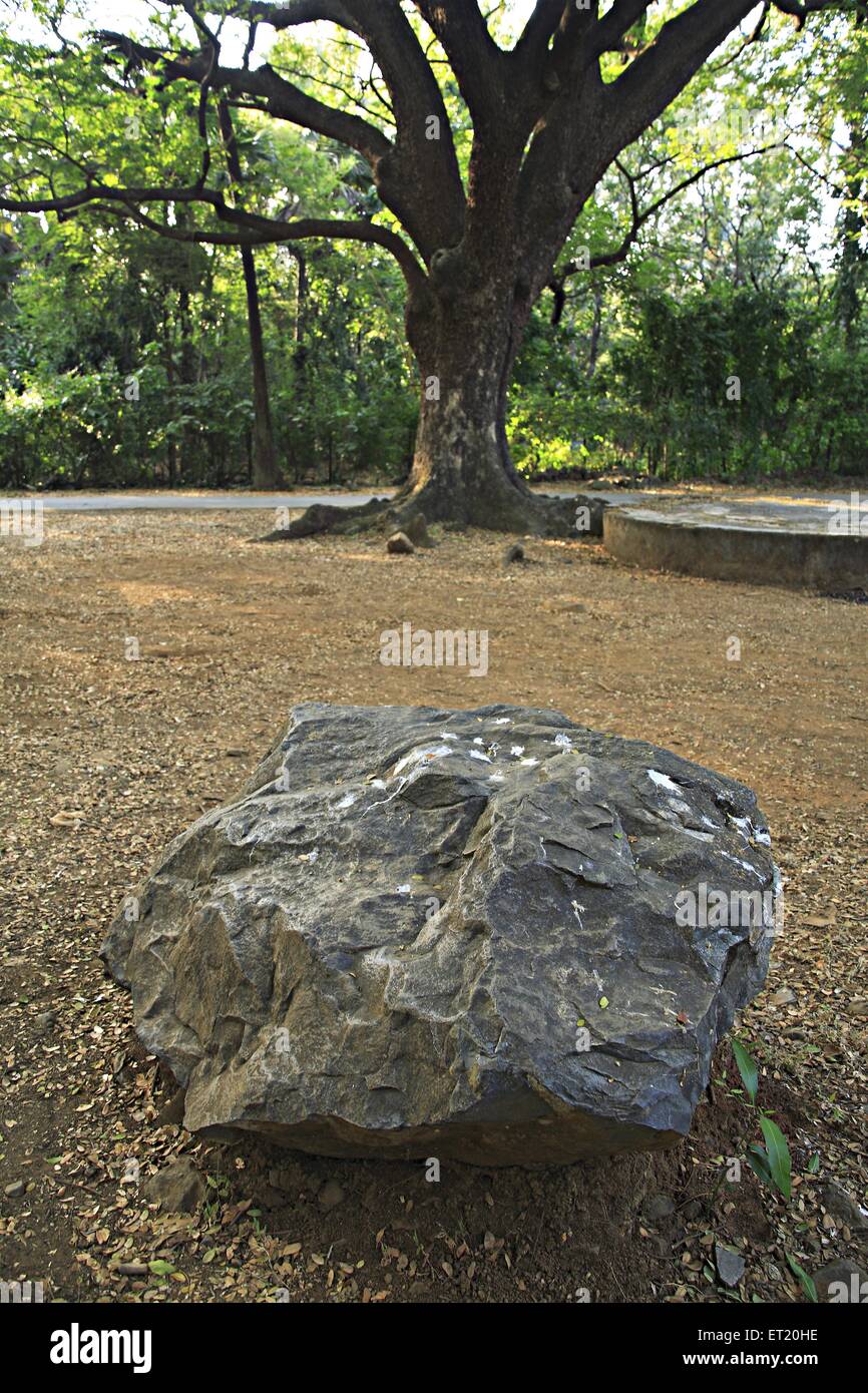 Rock ; Sanjay Gandhi National Park ; Borivali National Park ; Borivali ...