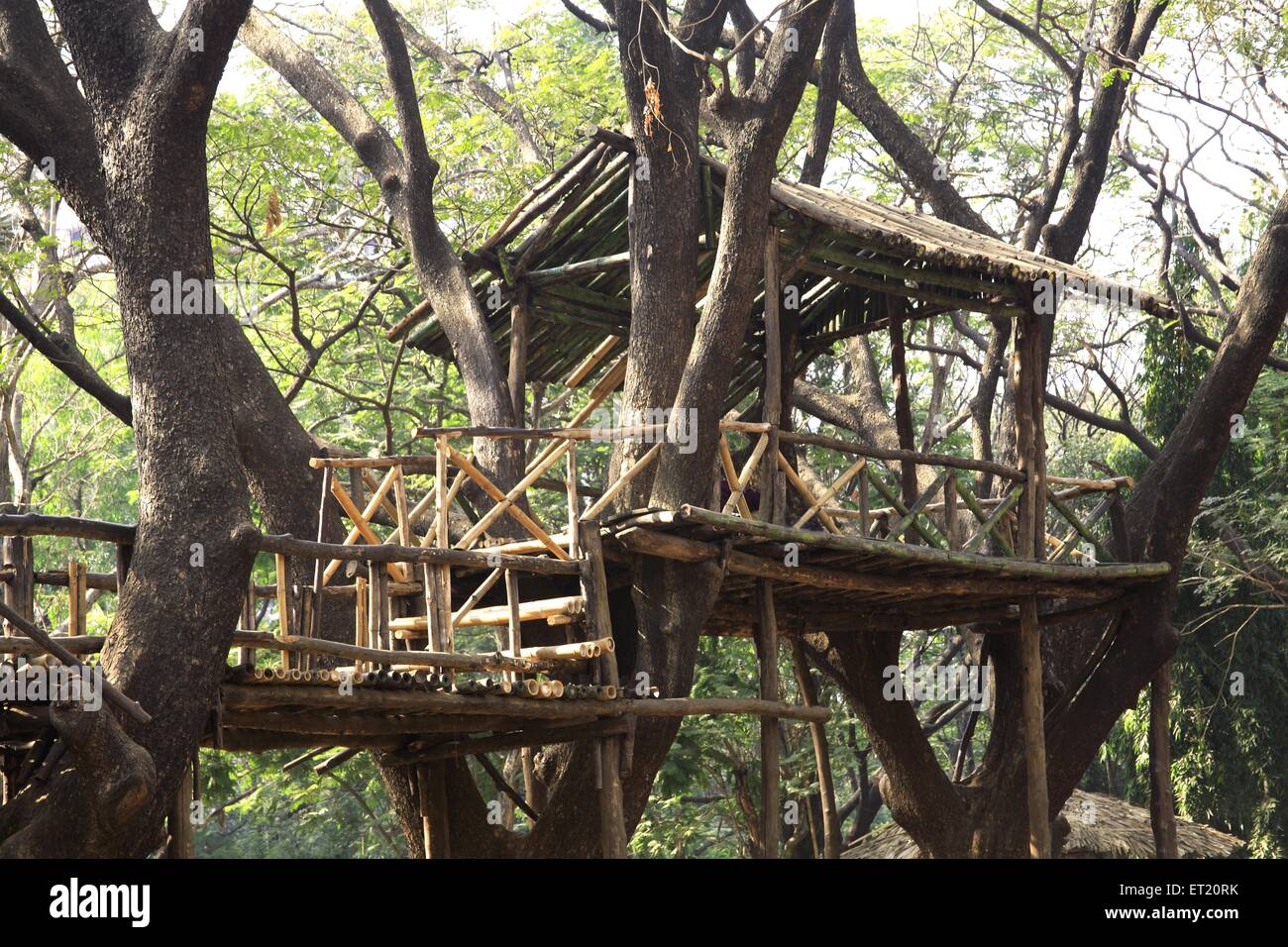 Bamboo machan ; Sanjay Gandhi National Park ; Borivali ; Bombay ...