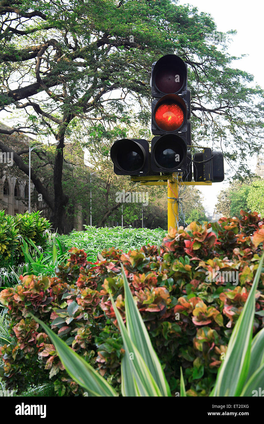 Indian traffic signals hi-res stock photography and images - Alamy