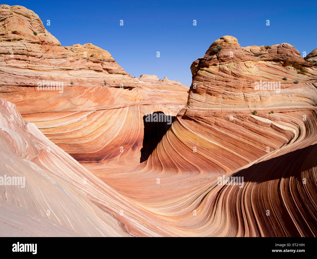 Scene from the North Coyote Buttes area known as "The Wave," Vermillion ...