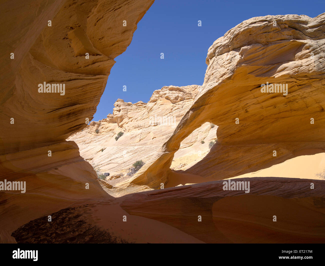 Melody Arch, in the vicinity of North Coyote Buttes area known as "The ...