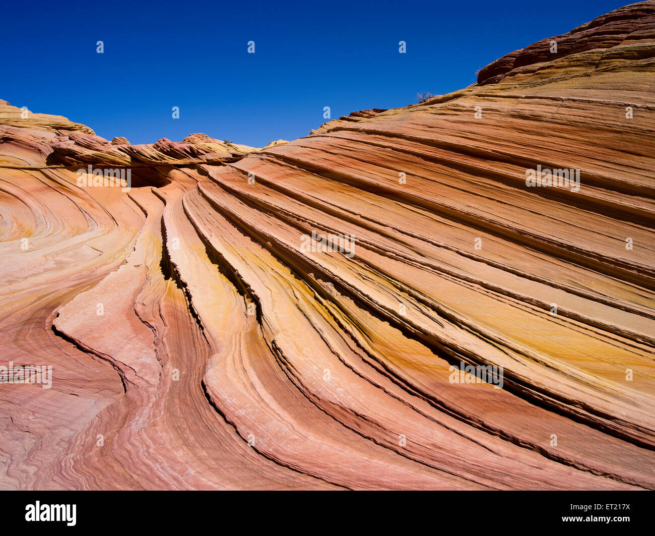 Scene from the North Coyote Buttes area known as "The Wave," Vermillion ...