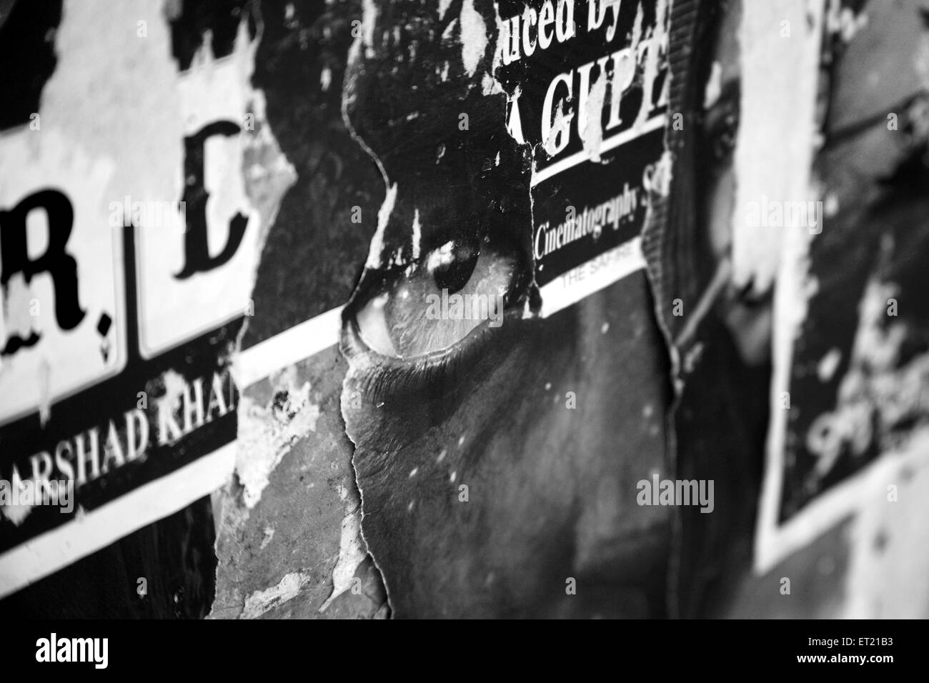 torn poster, urban abstract, street wall paint, urban art, wall ...