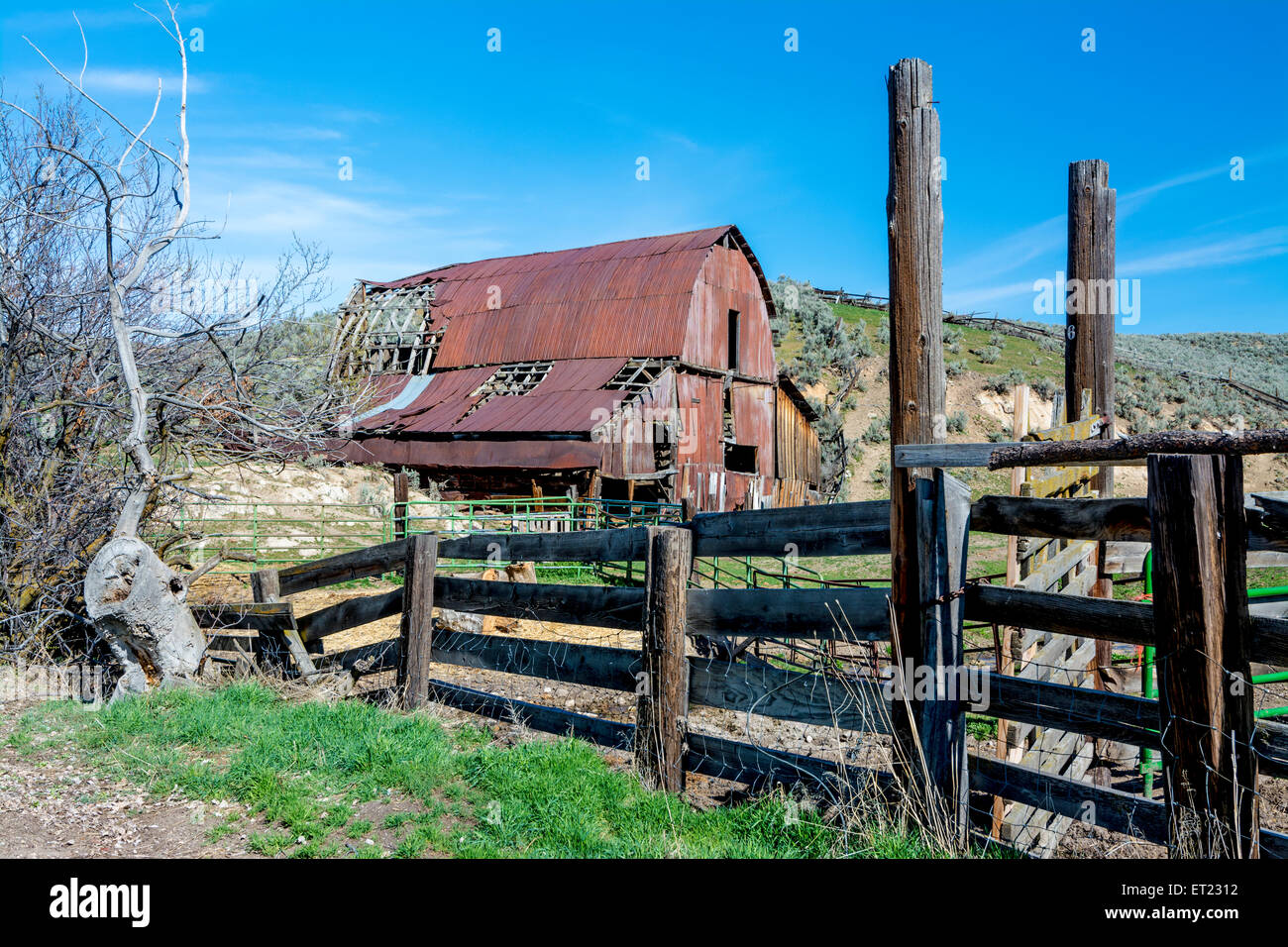 Barn and corral hi-res stock photography and images - Alamy